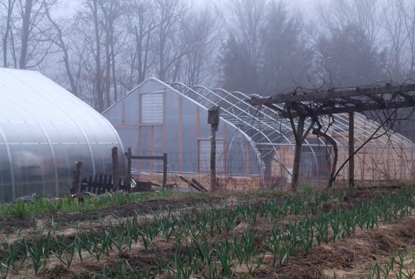 Uphill Farm – Halfway up the Hill in Rochester Vermont